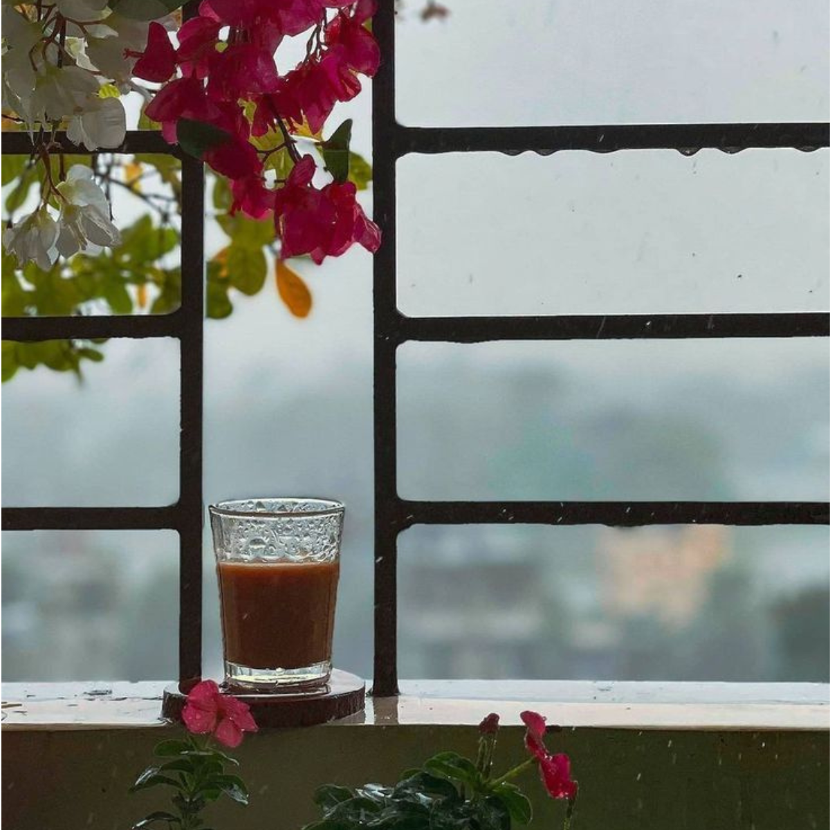 What to Eat in Monsoon for Strong Immunity – Amrutam